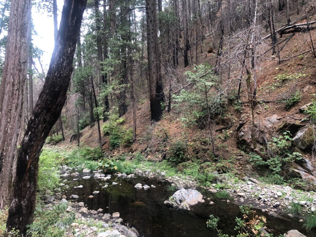 Tales from the California Woodland: September Range Day and End of ...